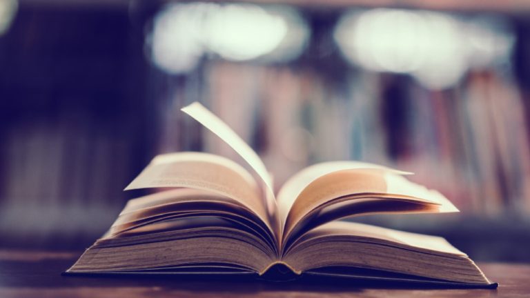 ¿Cuál es el origen de la palabra bar? - cookingideas.es